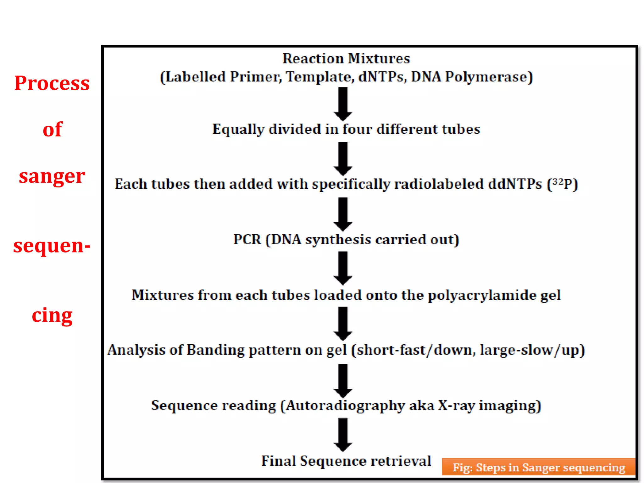 Sequencing | PDF | Chemistry | Science