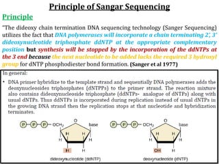 Sequencing | PDF
