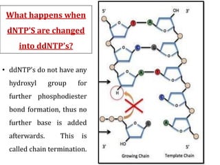 Sequencing | PDF | Chemistry | Science