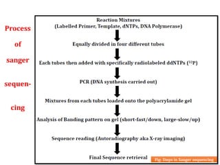 Sequencing | PDF