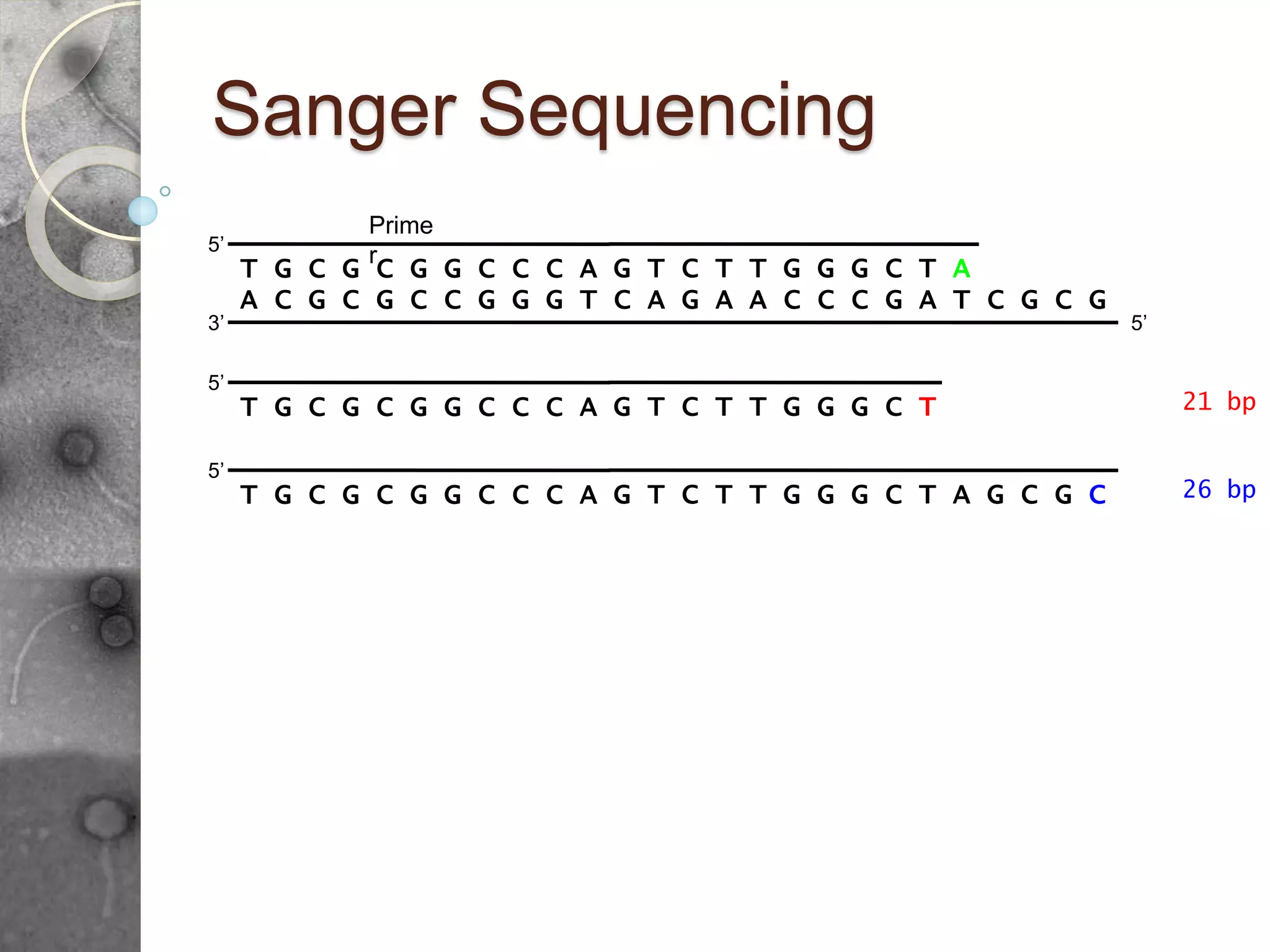 Sequencing.pptx