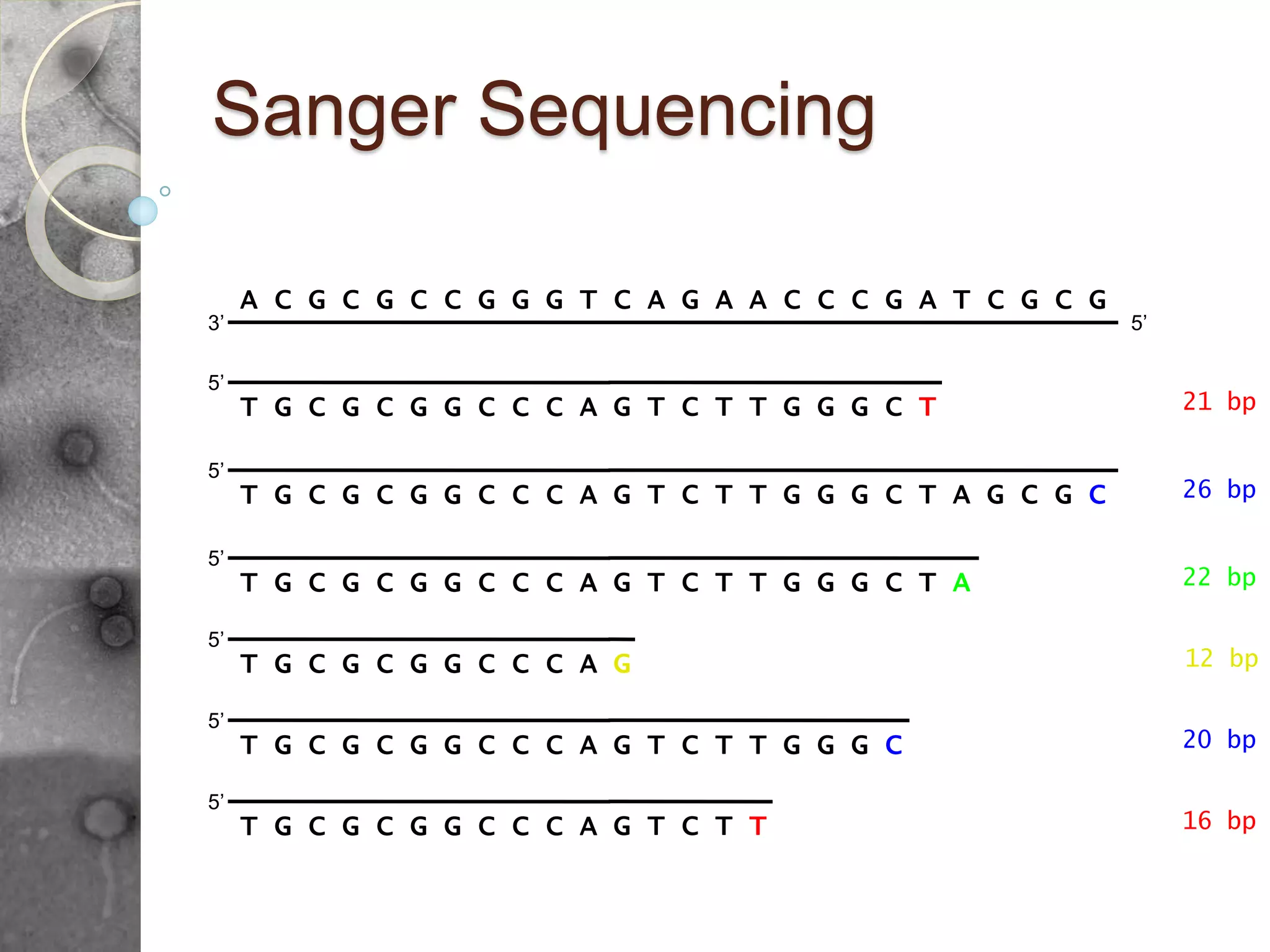 Sequencing.pptx