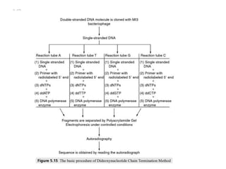 sequencing.pptx | Genetics | Science