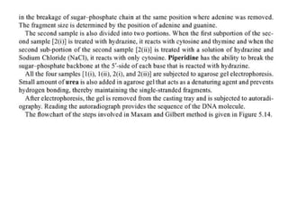 sequencing.pptx | Genetics | Science