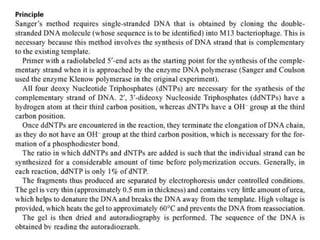 sequencing.pptx | Genetics | Science