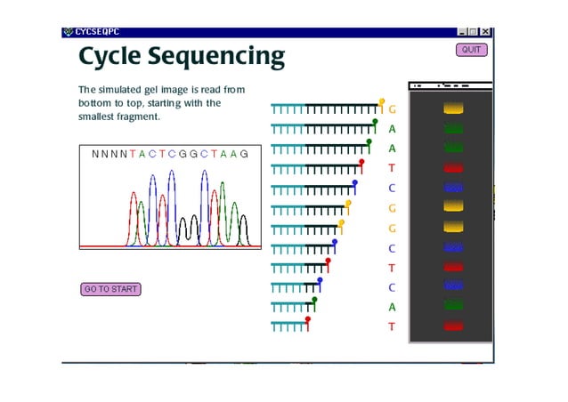 sequencing-.pdf | Free Download