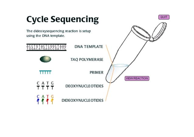 sequencing-.pdf | Free Download