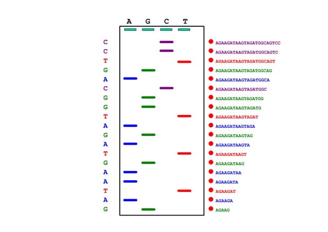 sequencing-.pdf | Free Download