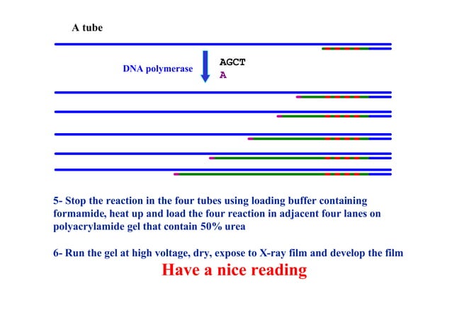 sequencing-.pdf | Free Download