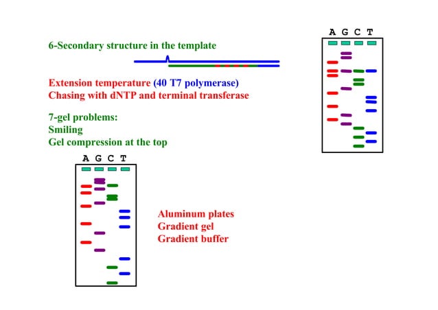 sequencing-.pdf | Free Download
