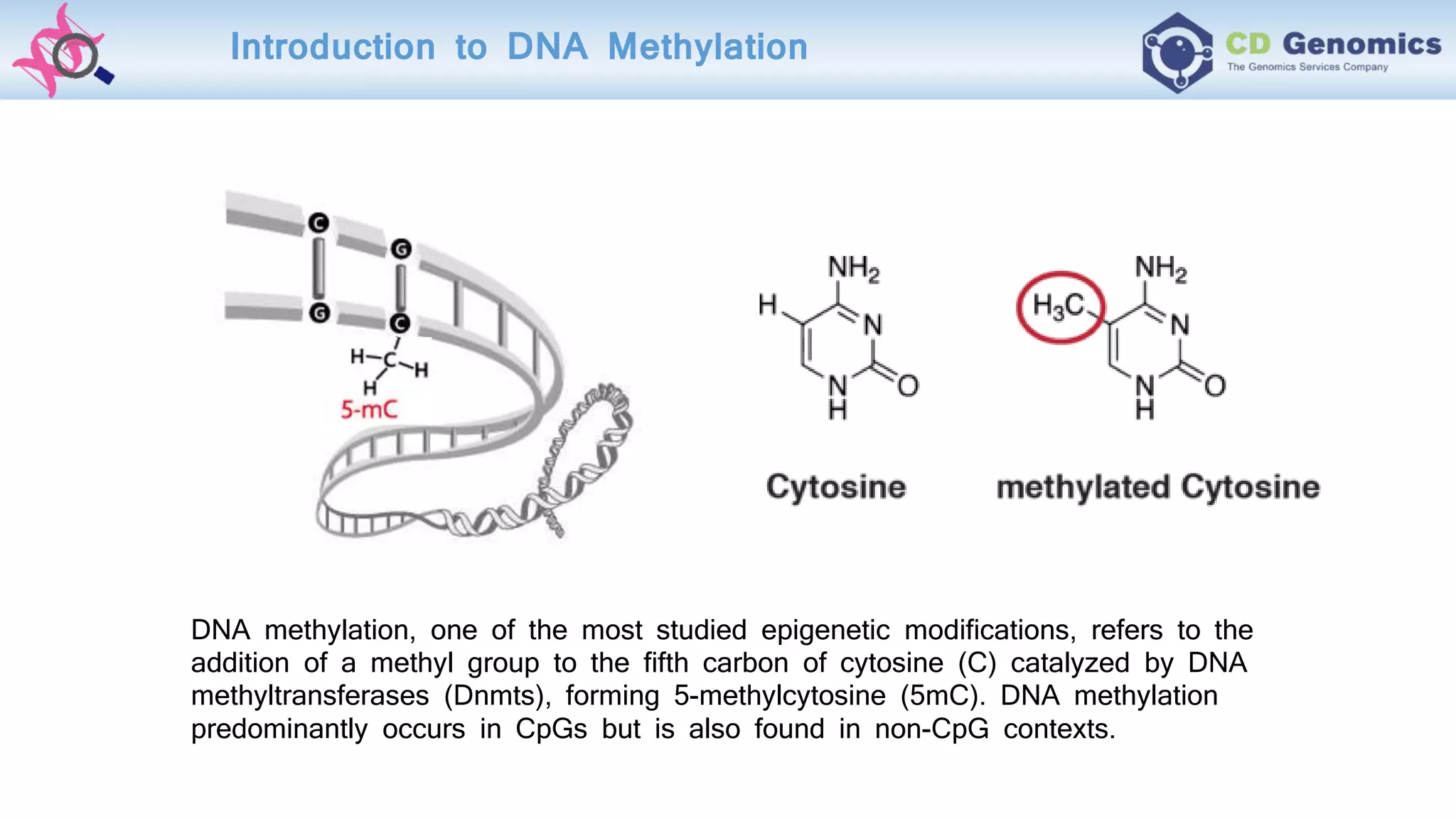 Sequencing Based Approaches For Profiling Dna Methylation Ppt