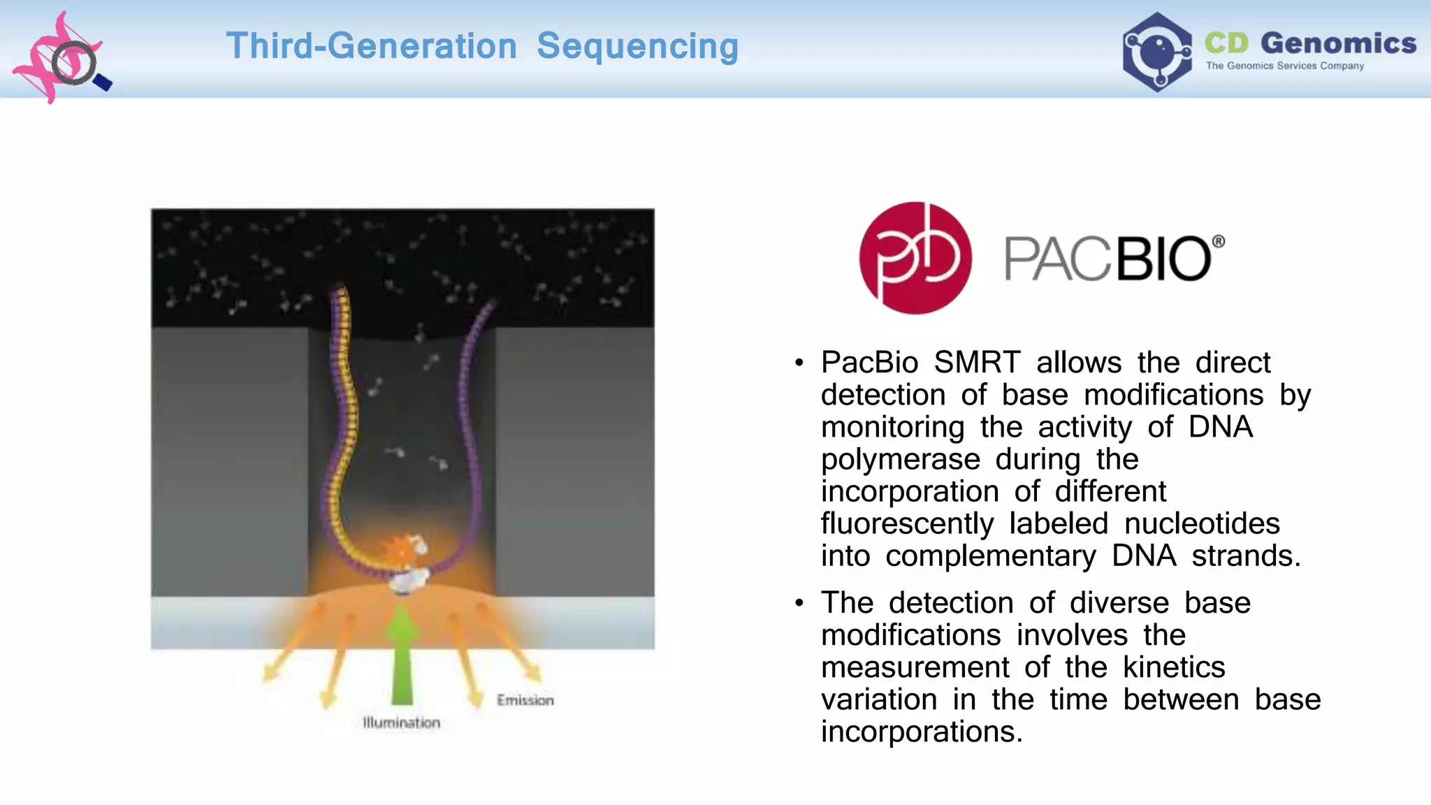 Sequencing Based Approaches For Profiling Dna Methylation Ppt
