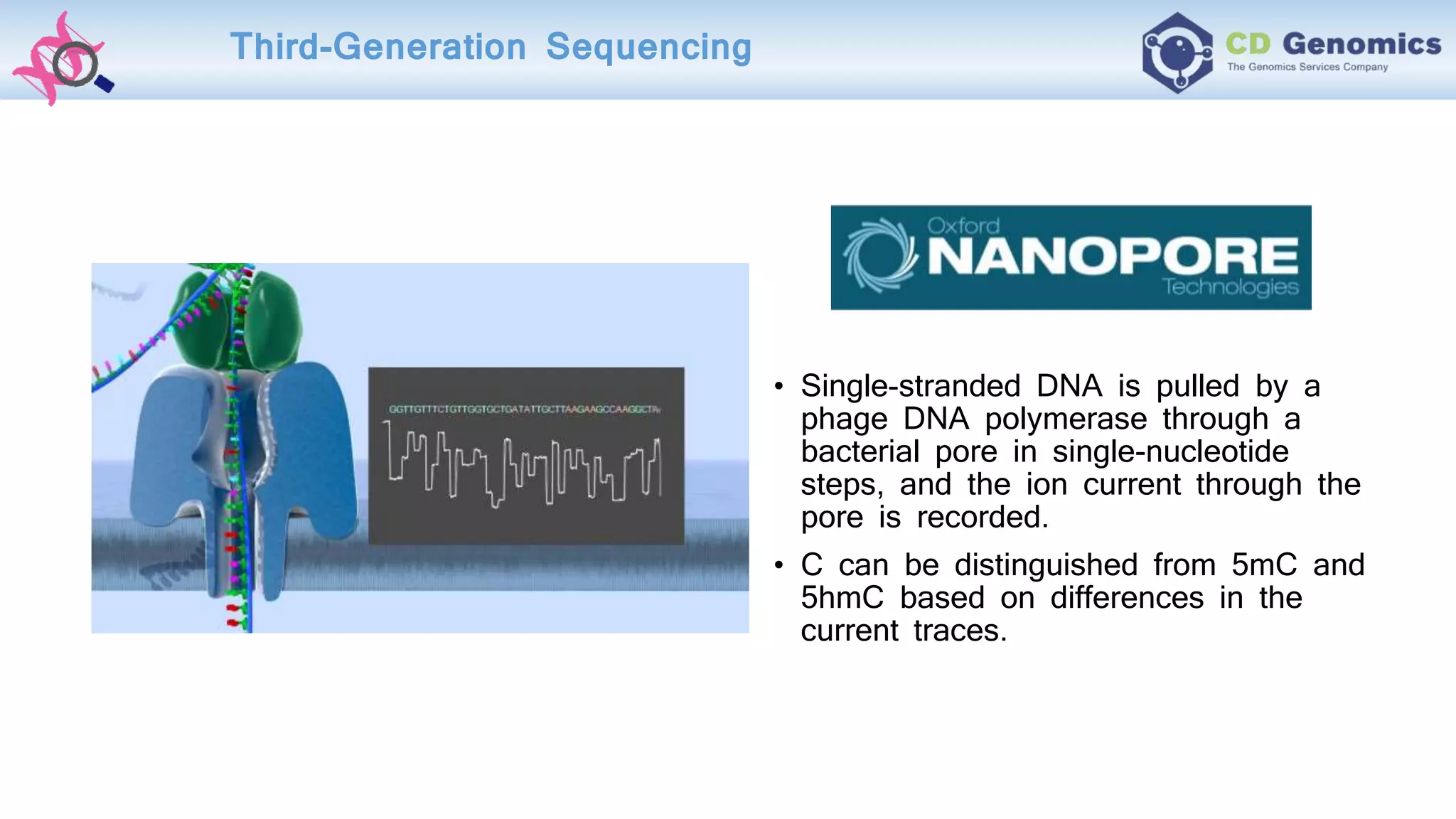 Sequencing Based Approaches For Profiling Dna Methylation Ppt