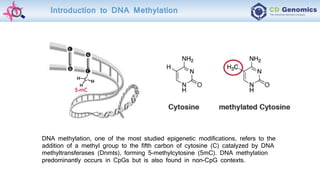 Sequencing based approaches for profiling dna methylation | PPT
