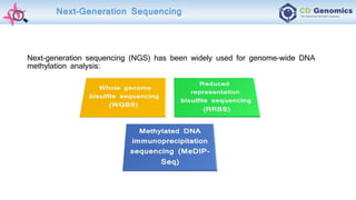Sequencing based approaches for profiling dna methylation | PPT