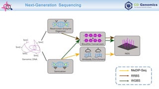 Sequencing Based Approaches For Profiling Dna Methylation Pptx