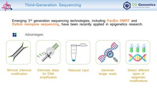 Sequencing based approaches for profiling dna methylation | PPT