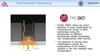 Sequencing based approaches for profiling dna methylation | PPT