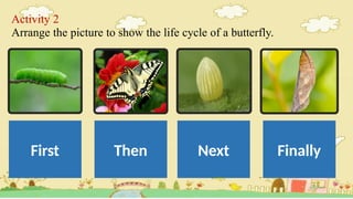 sequencing-skills-identifying-the-correct-order-of-events-in-a-story ...