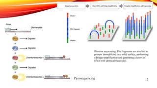 Sequencing genes and genomes | PPTX