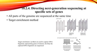Sequencing genes and genomes | PPTX