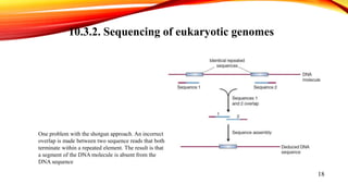 Sequencing genes and genomes | PPTX