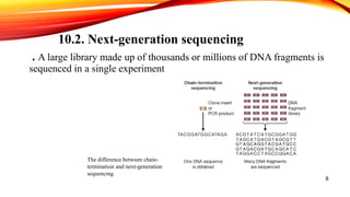 Sequencing genes and genomes | PPTX