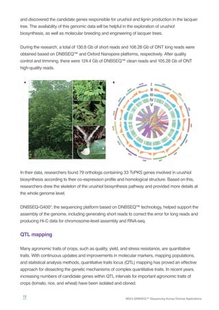 MGI Sequencing and Genomics. Elevanting Science and Healthcare | PDF