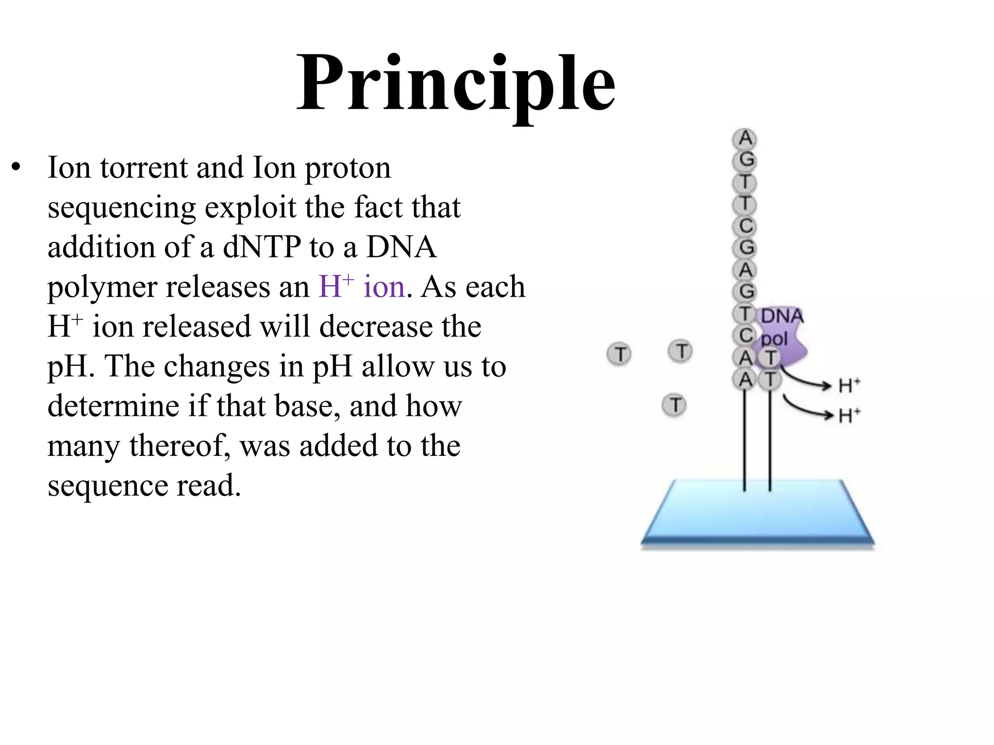 Ion torrent and SOLiD Sequencing Techniques | PPTX