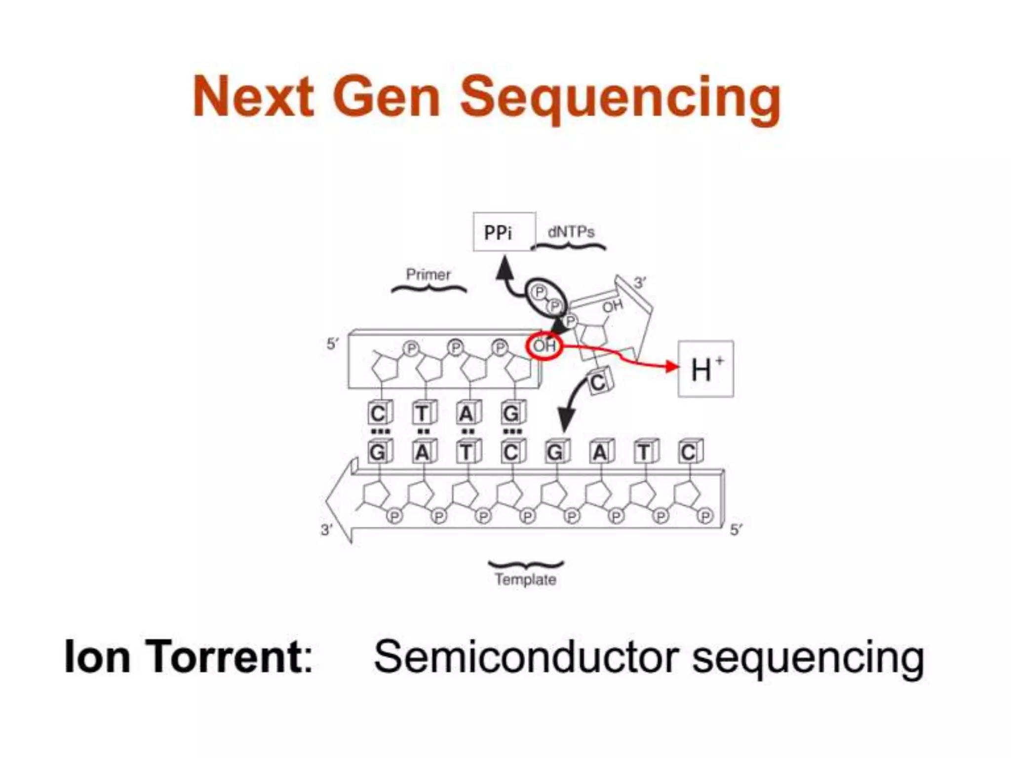 Ion torrent and SOLiD Sequencing Techniques | PPTX