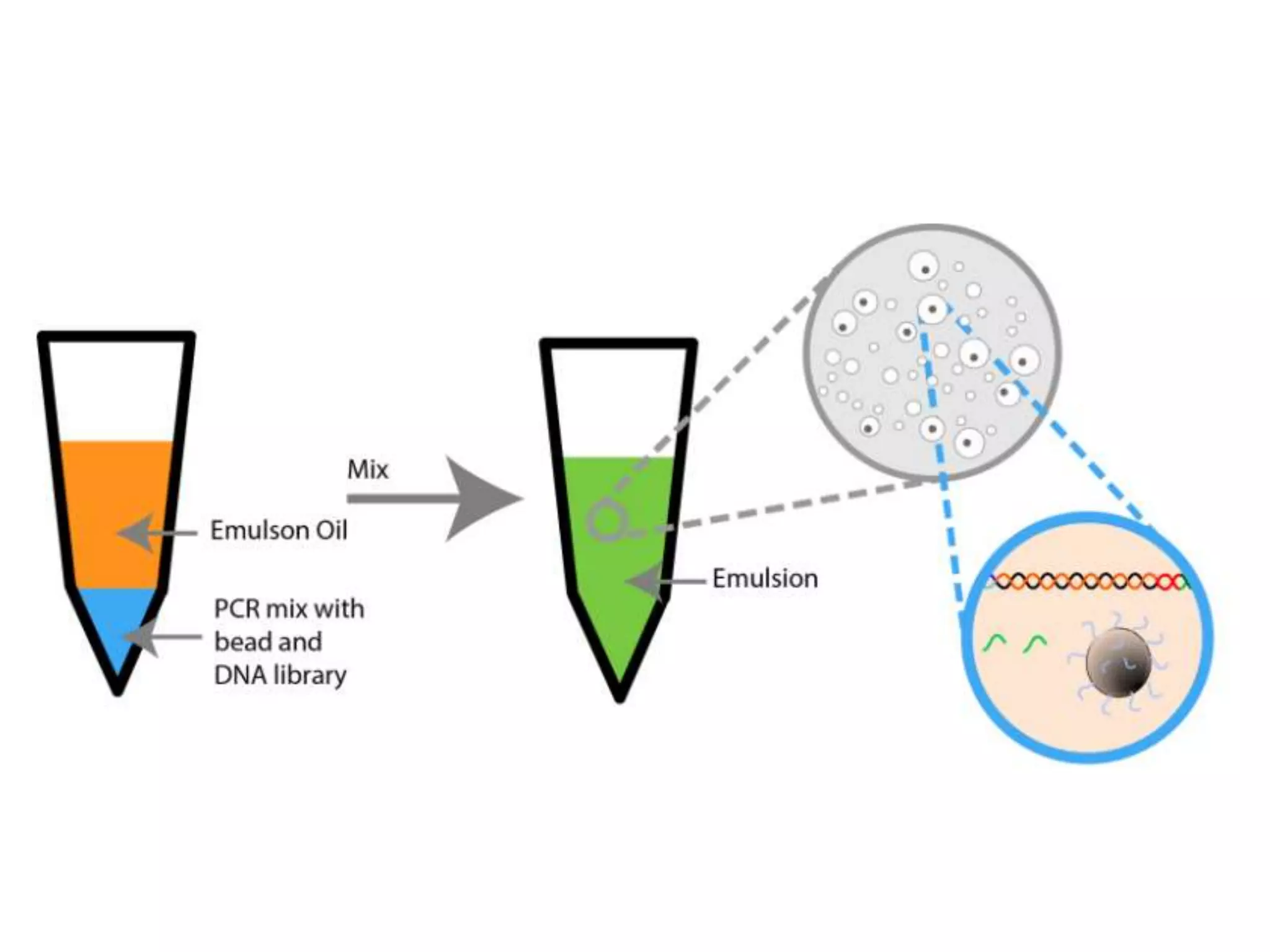 Ion torrent and SOLiD Sequencing Techniques | PPTX