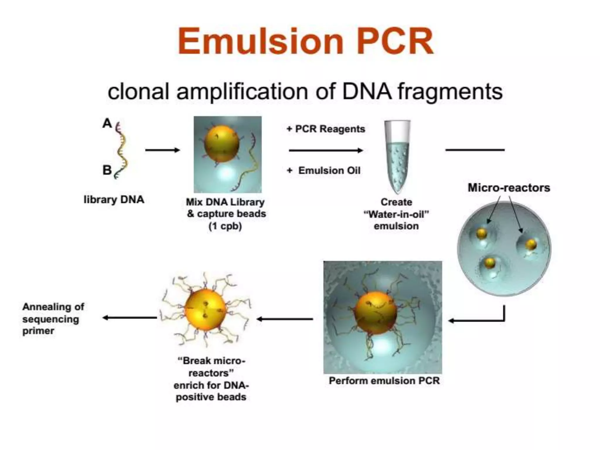 Ion torrent and SOLiD Sequencing Techniques | PPTX