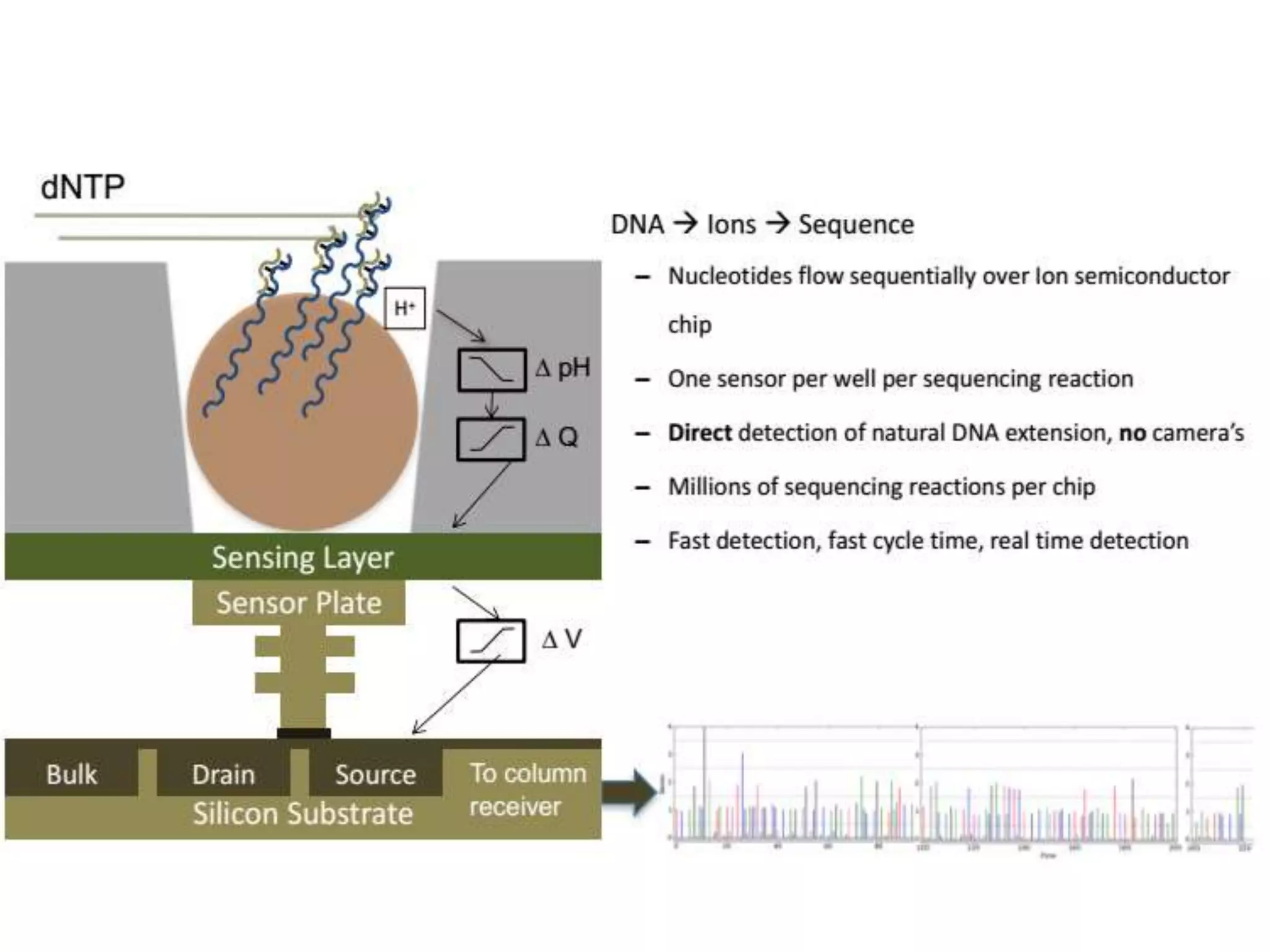 Ion torrent and SOLiD Sequencing Techniques | PPTX