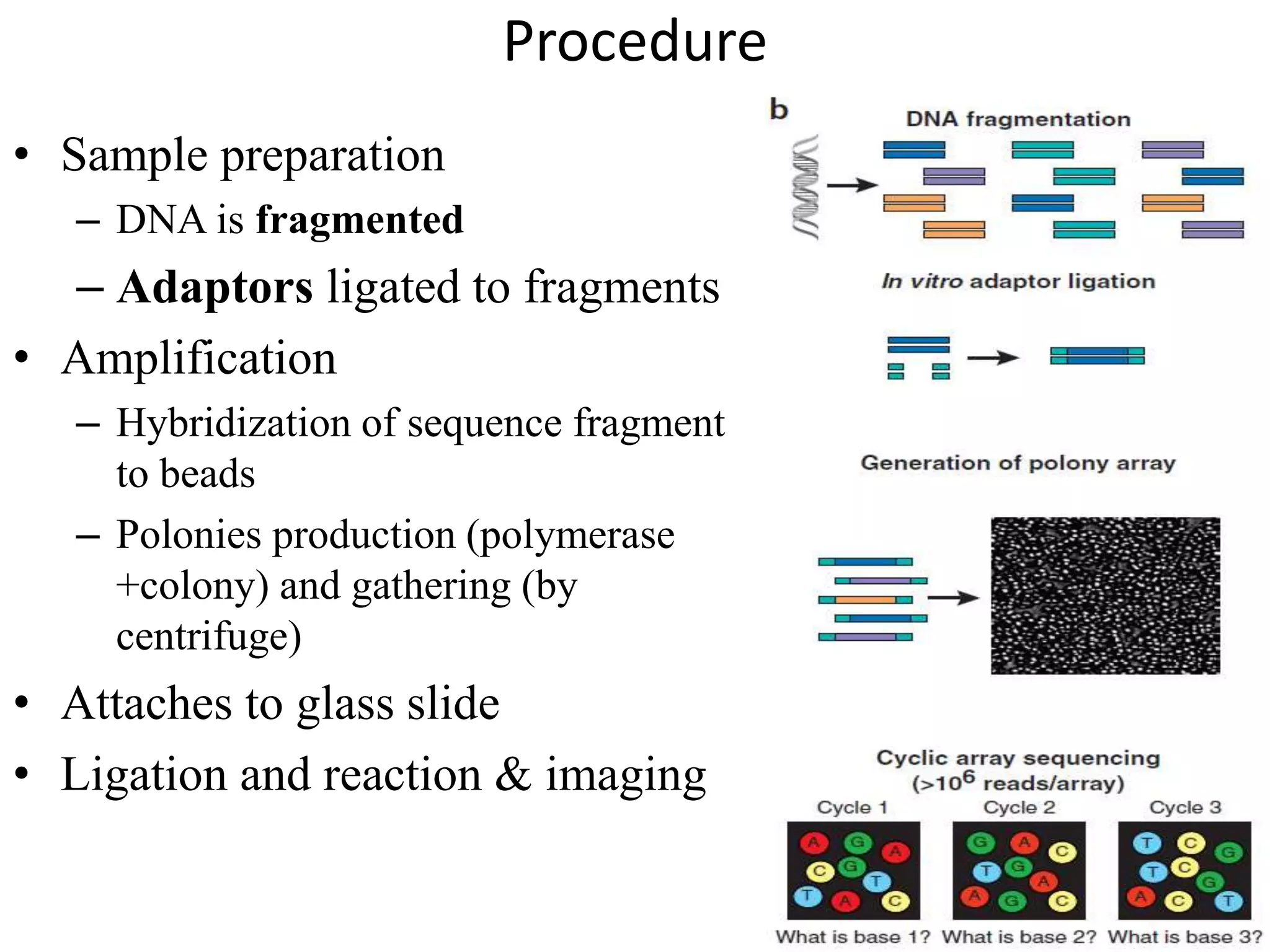 Ion torrent and SOLiD Sequencing Techniques | PPTX