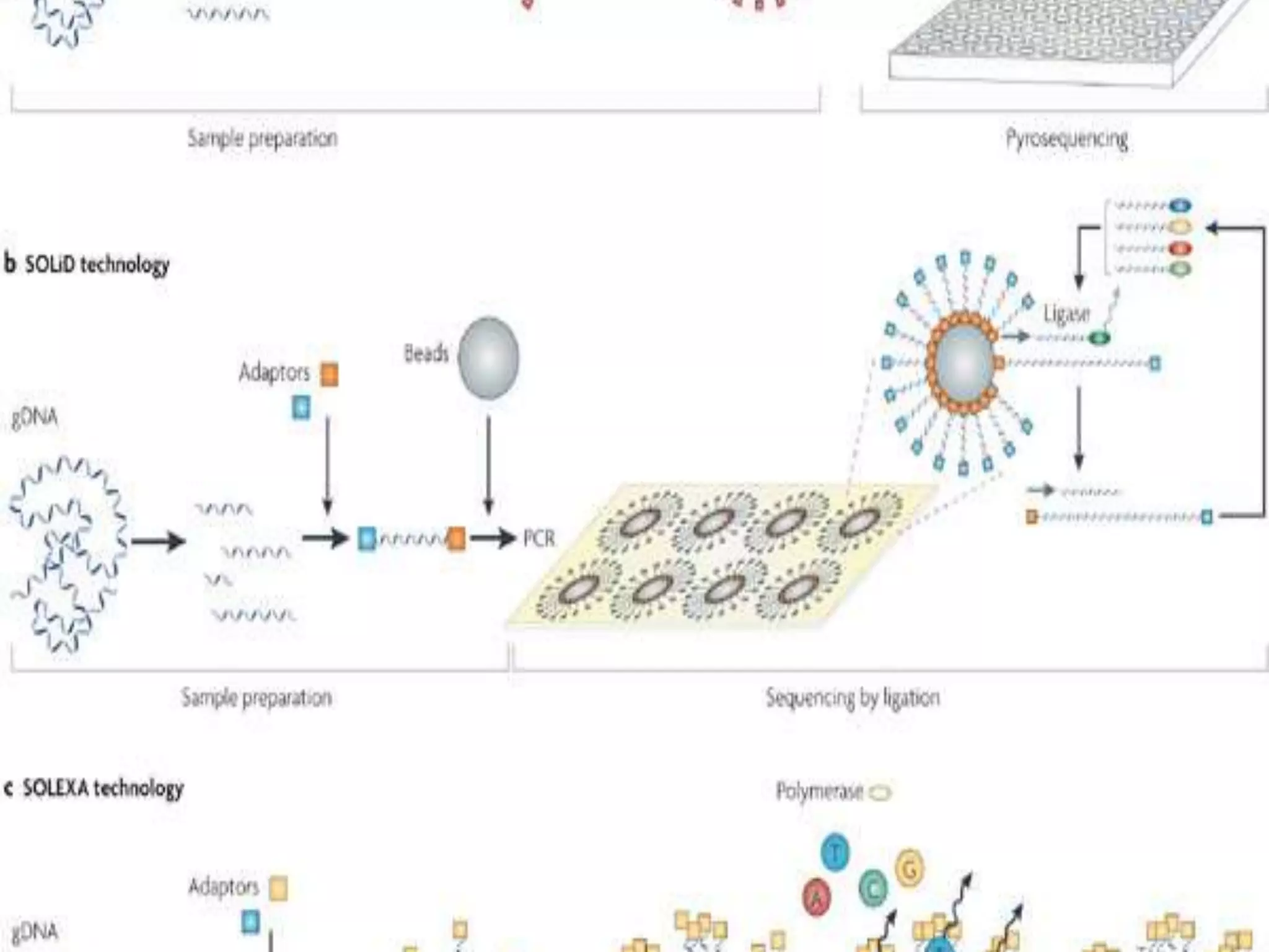 Ion torrent and SOLiD Sequencing Techniques | PPTX