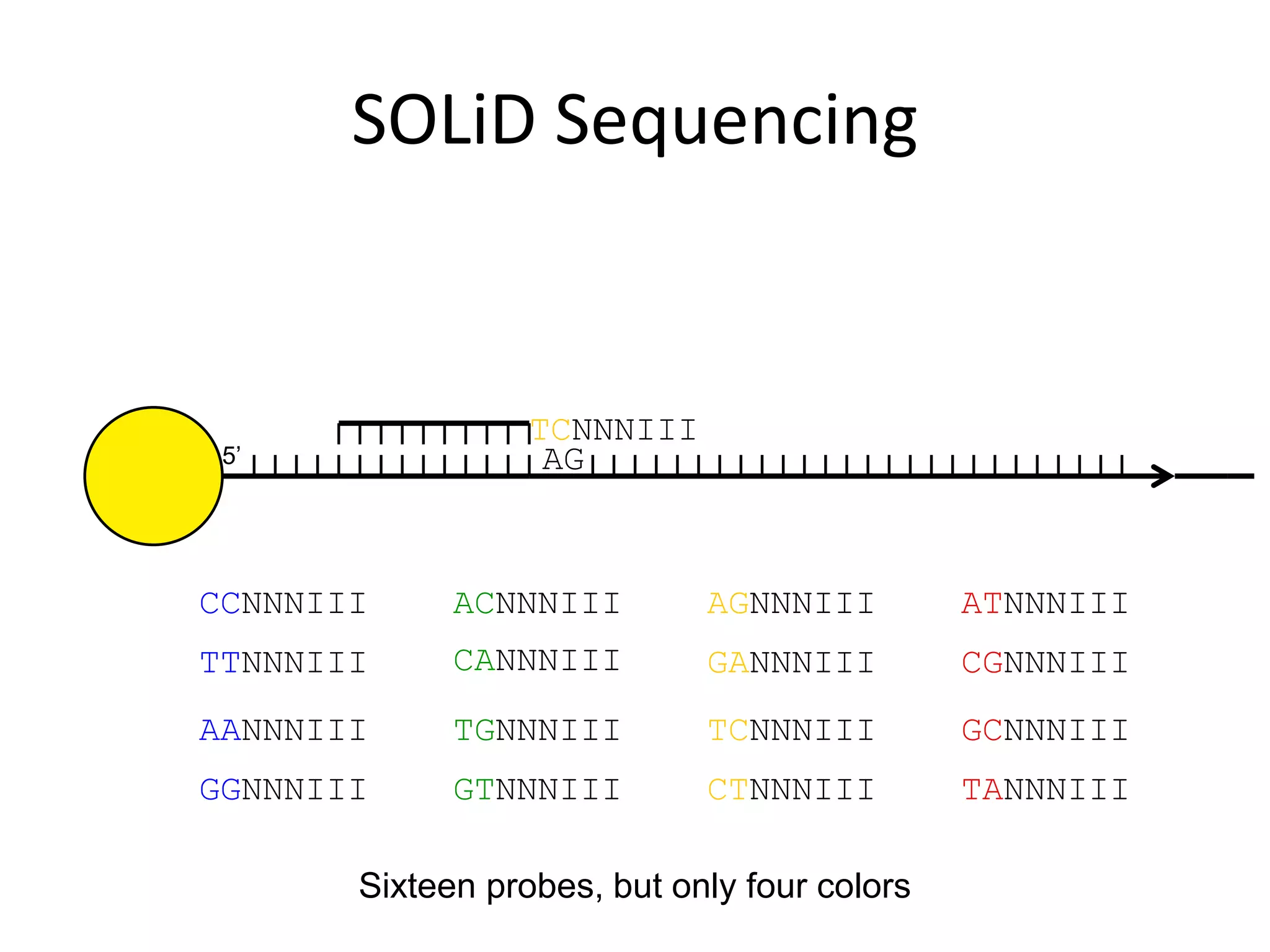 Ion torrent and SOLiD Sequencing Techniques | PPTX