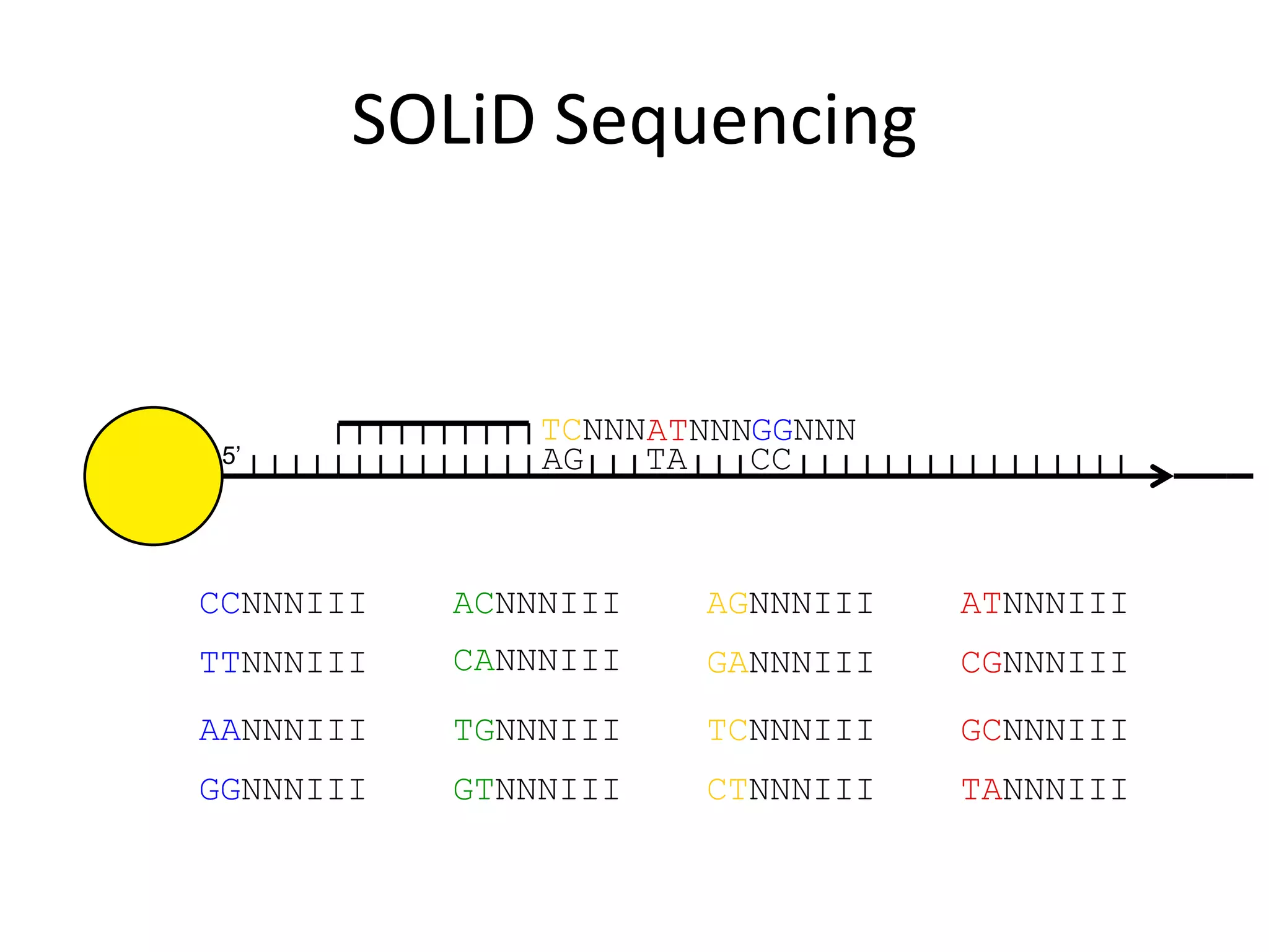 Ion torrent and SOLiD Sequencing Techniques | PPTX