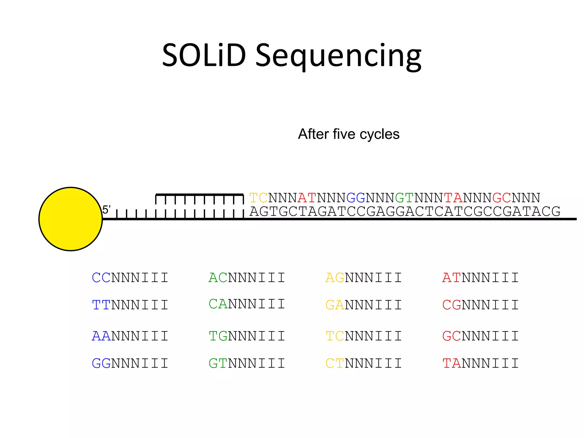 Ion torrent and SOLiD Sequencing Techniques | PPTX
