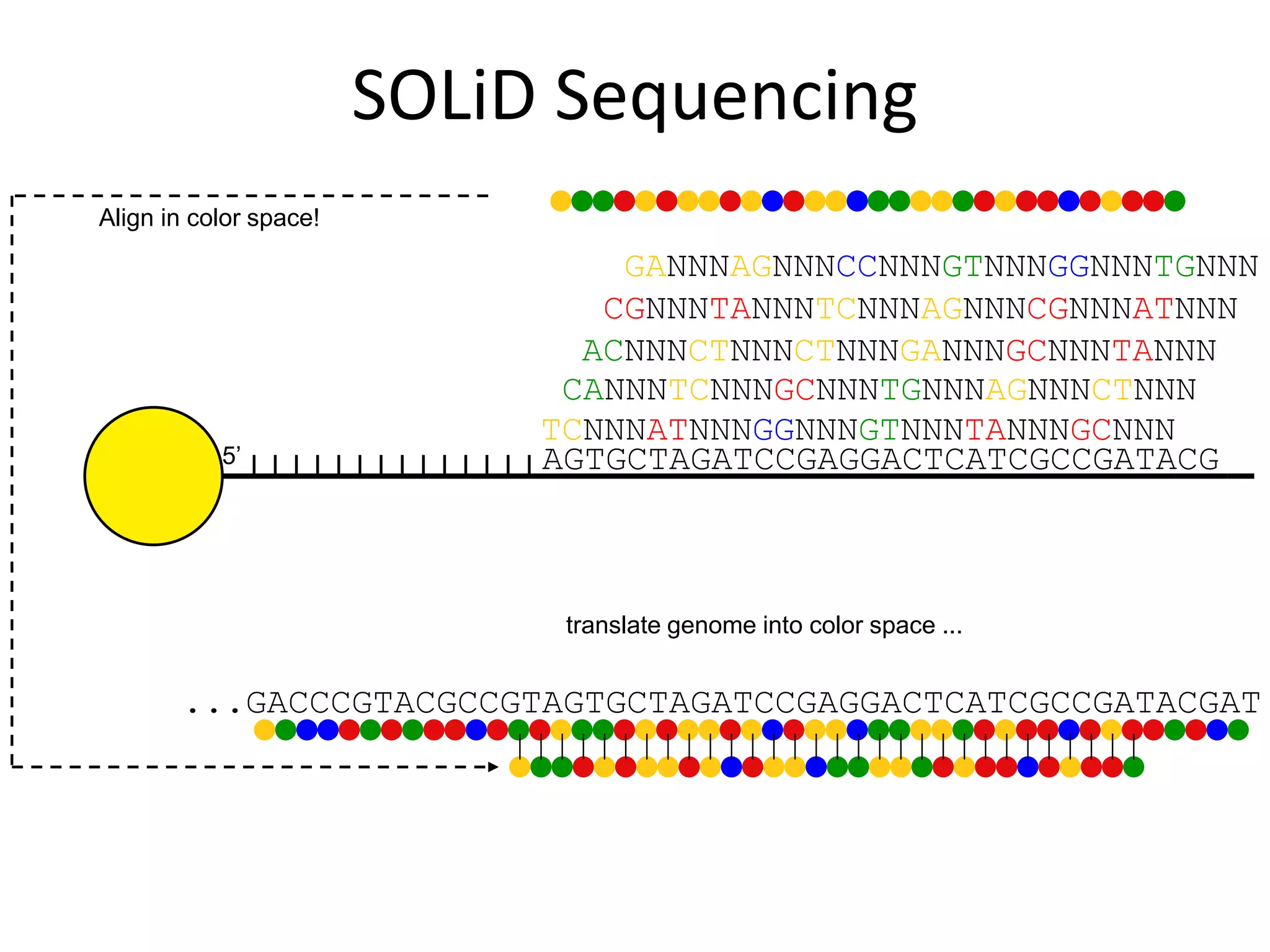 Ion torrent and SOLiD Sequencing Techniques | PPTX