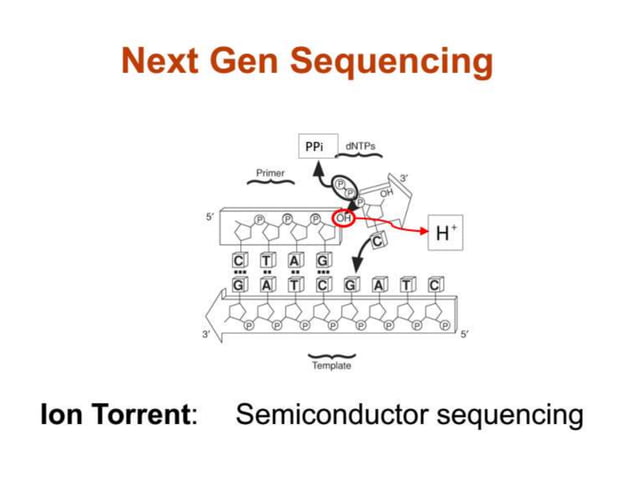 Ion torrent and SOLiD Sequencing Techniques | PPTX | Chemistry | Science