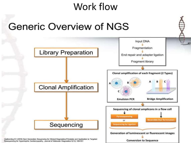 Ion torrent and SOLiD Sequencing Techniques | PPTX | Chemistry | Science