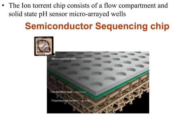 Ion torrent and SOLiD Sequencing Techniques | PPTX | Chemistry | Science