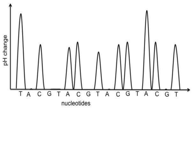 Ion torrent and SOLiD Sequencing Techniques | PPTX | Chemistry | Science