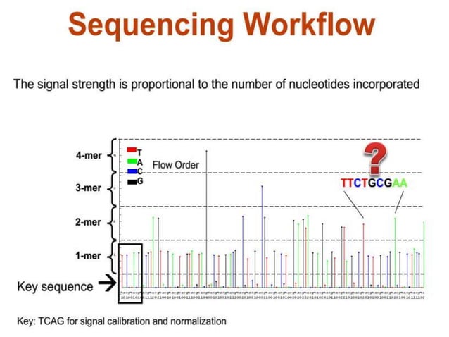 Ion torrent and SOLiD Sequencing Techniques | PPTX | Chemistry | Science