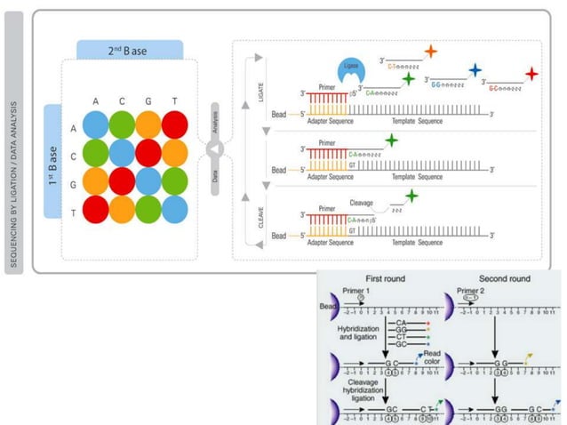 Ion torrent and SOLiD Sequencing Techniques | PPT