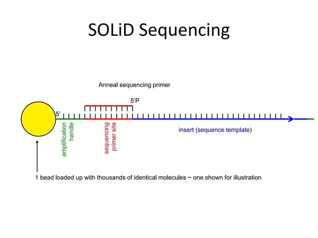 Ion torrent and SOLiD Sequencing Techniques | PPTX | Chemistry | Science