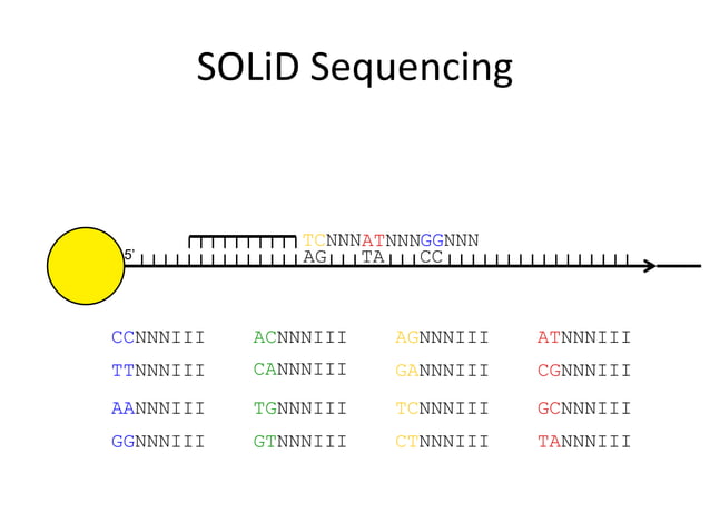 Ion torrent and SOLiD Sequencing Techniques | PPTX | Chemistry | Science