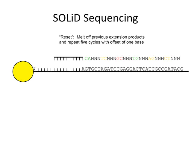 Ion torrent and SOLiD Sequencing Techniques | PPTX | Chemistry | Science