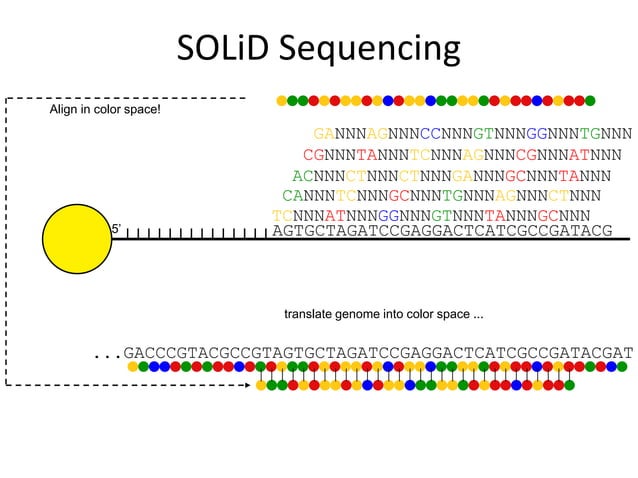 Ion torrent and SOLiD Sequencing Techniques | PPTX | Chemistry | Science