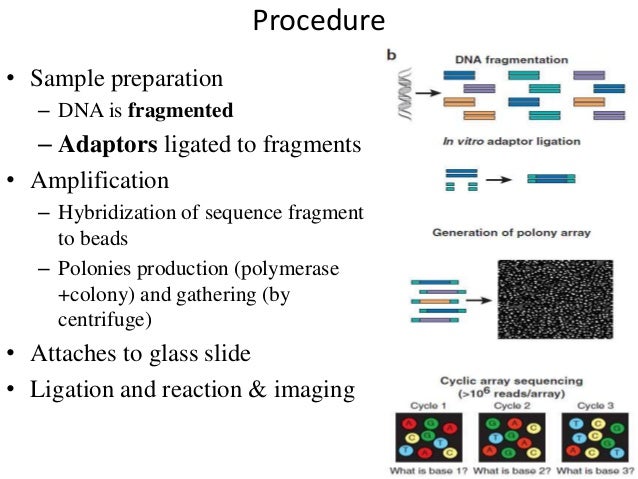 Ion torrent and SOLiD Sequencing Techniques